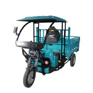 Auto rickshaw cargo tricycle price in india-D – QSD