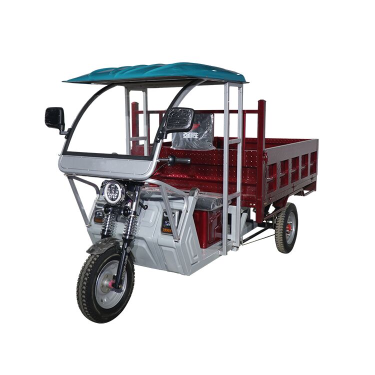 E loading rickshaw - QSD